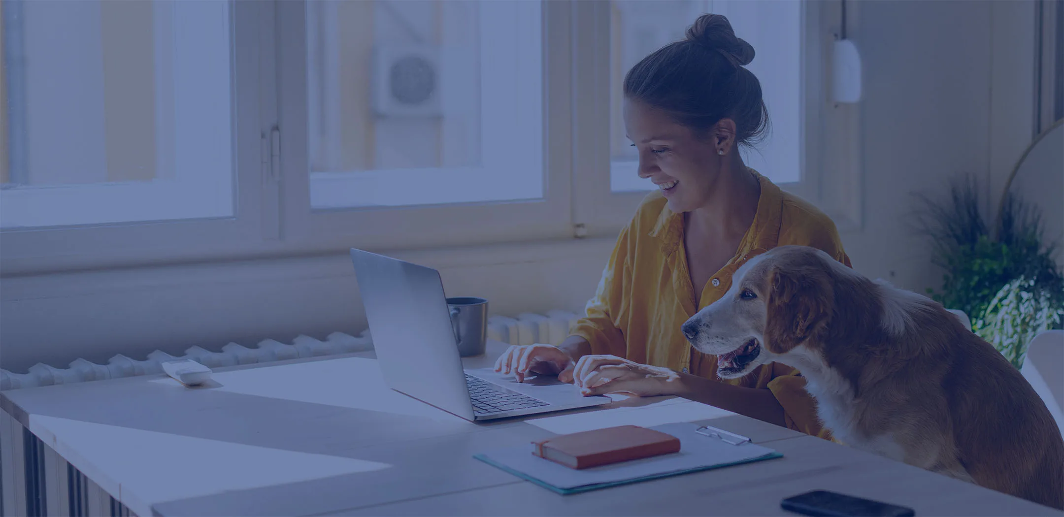 Modernizing benefits enrollment - Alegeus